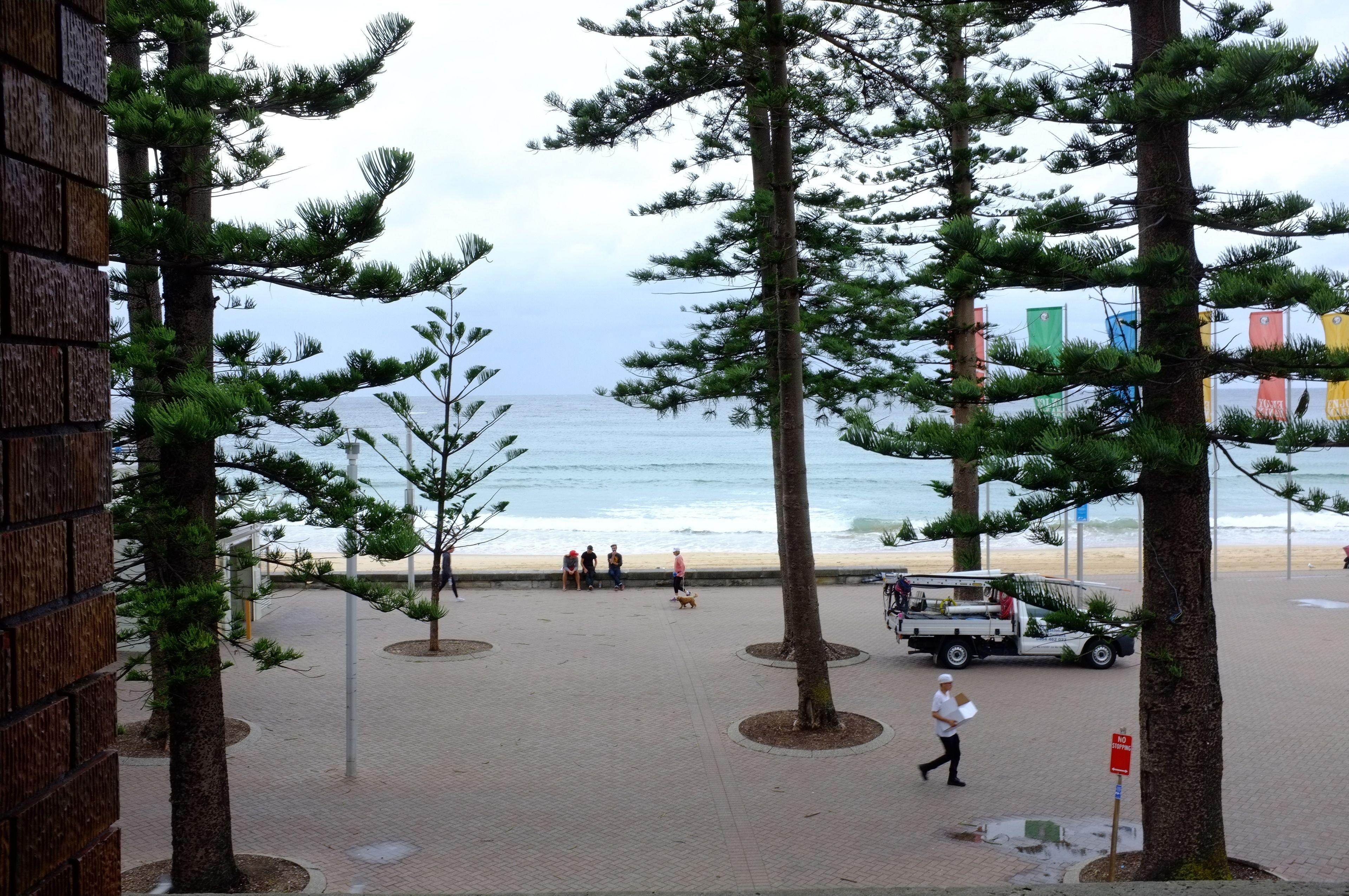 HOTEL STEYNE | ⋆⋆ | SYDNEY, AUSTRALIA | SEASON DEALS FROM $42